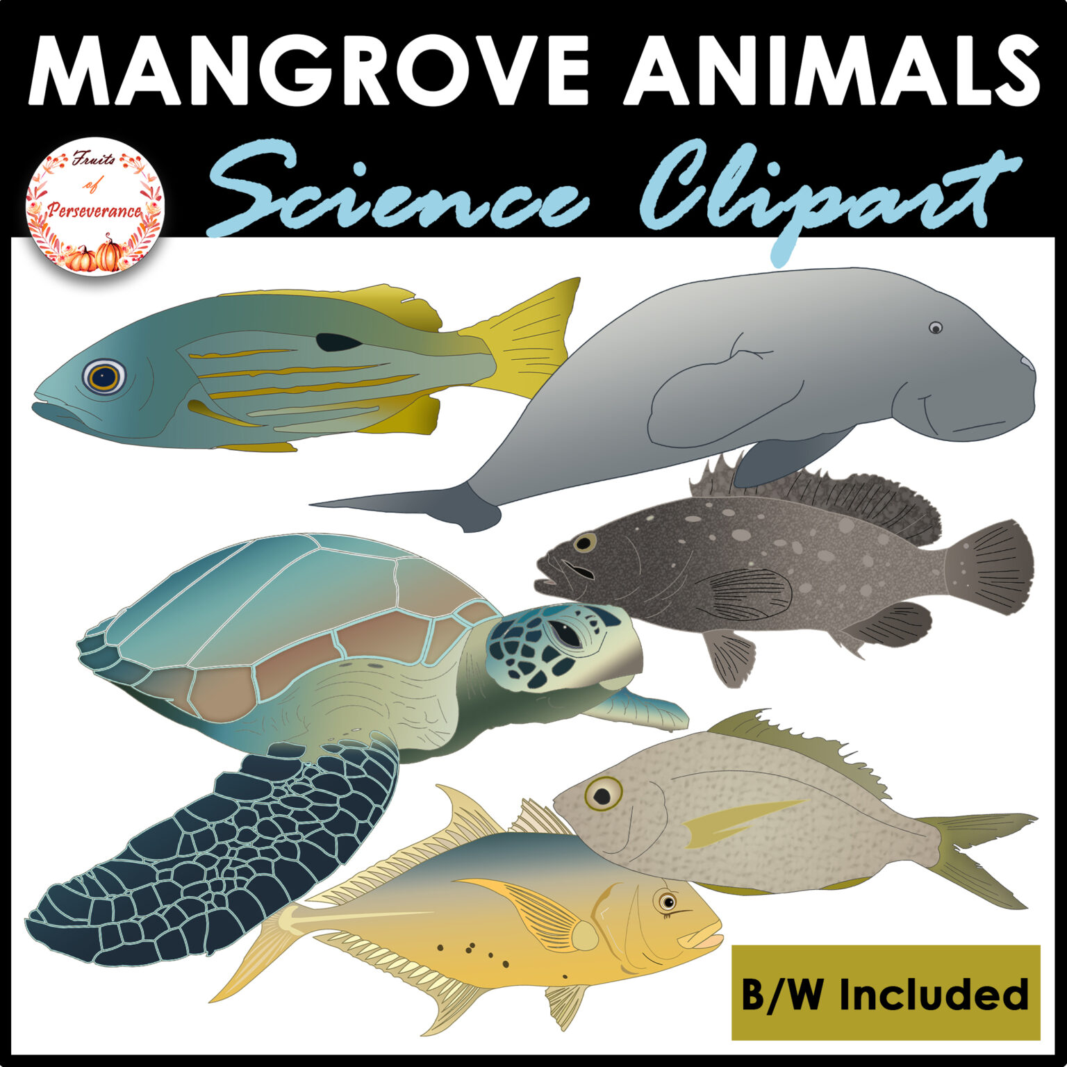 Fish and Sea Animals Clipart | Mangroves and Wetlands Clip Art | Made ...