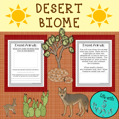 Desert Biome Activity - Made By Teachers