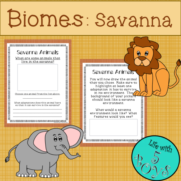 Savanna Biome Activity | Made By Teachers