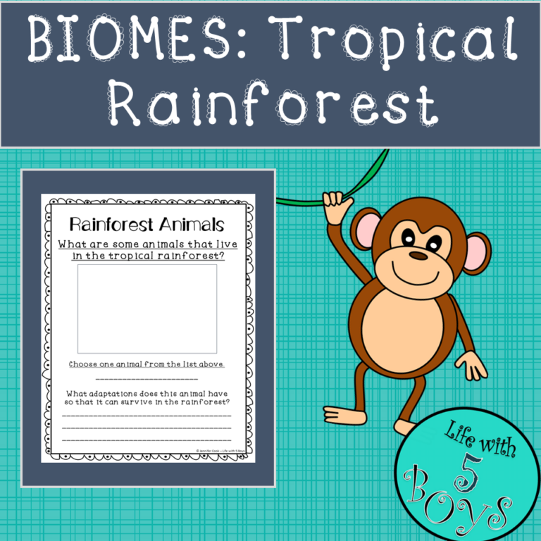 Tropical Rainforest Biome Activity - Made By Teachers