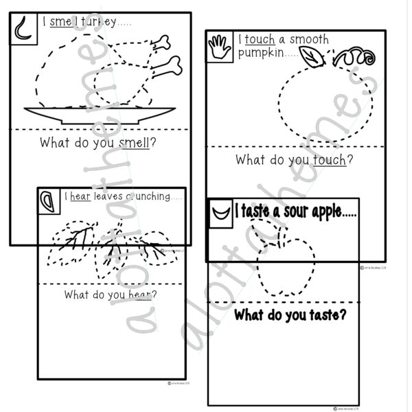 TURKEY | 5 senses | Thanksgiving mini booklet printable - Made By Teachers