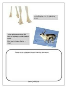 Animals in Snow | Biomimicry Design Inspired by Nature Compatible with ...