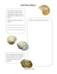 Patterns in Nature | PBL NGSS Biomimicry Design Inspired by Nature ...