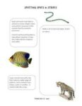 Patterns in Nature | PBL NGSS Biomimicry Design Inspired by Nature ...
