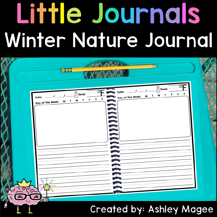 Little Journals: Winter Nature Journal | Made By Teachers