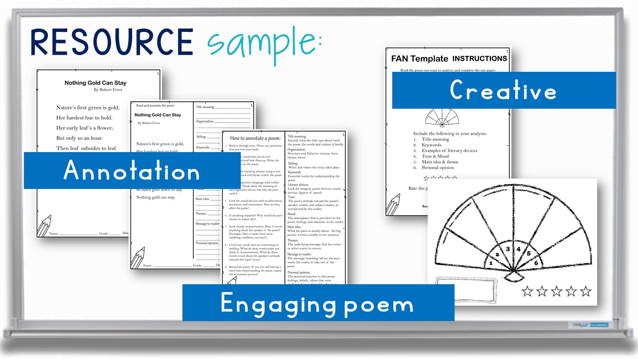 Outsider Unit - Paired Reading, Writing Prompts - The Outsiders by S.E ...