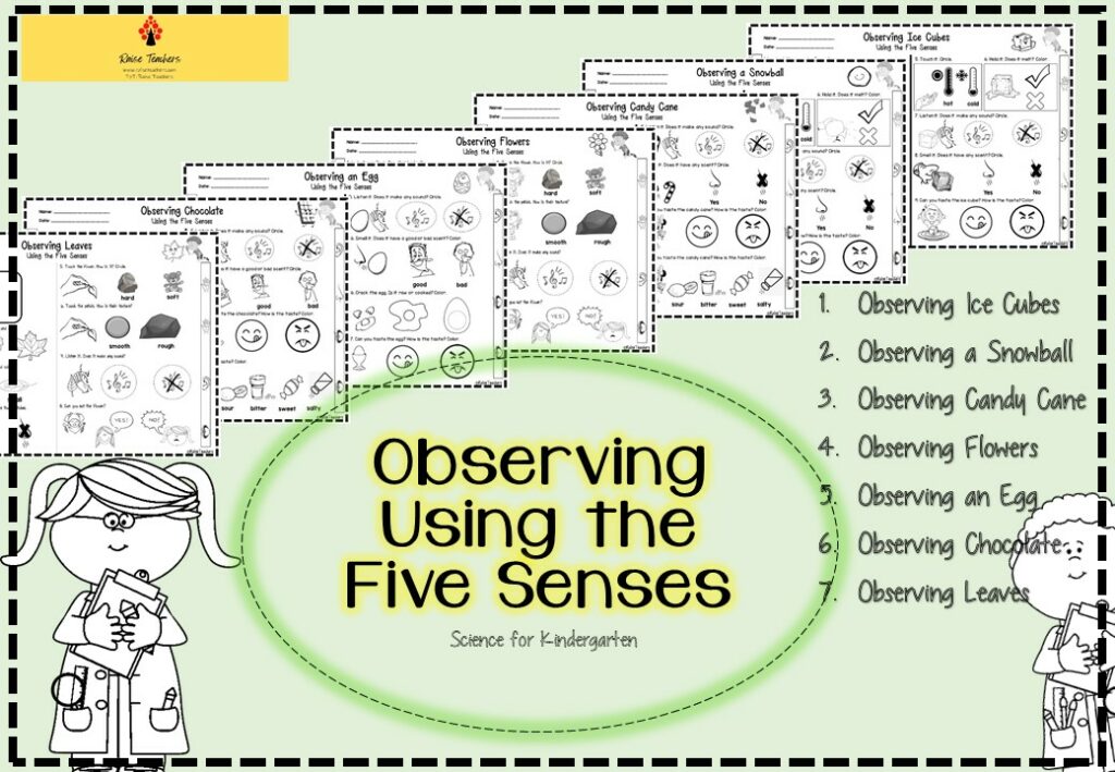 Observing Apples, Pumpkins, Rocks Using the Five Senses Worksheets ...