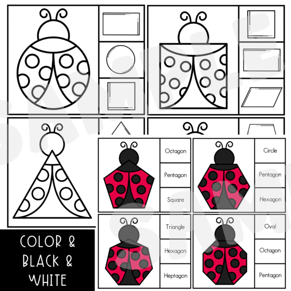 Spring 2D Shapes Ladybug Shapes Clip Cards 2D Shape Sorting Math Center ...