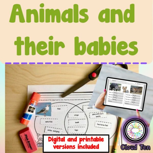 Animals and their babies | Made By Teachers