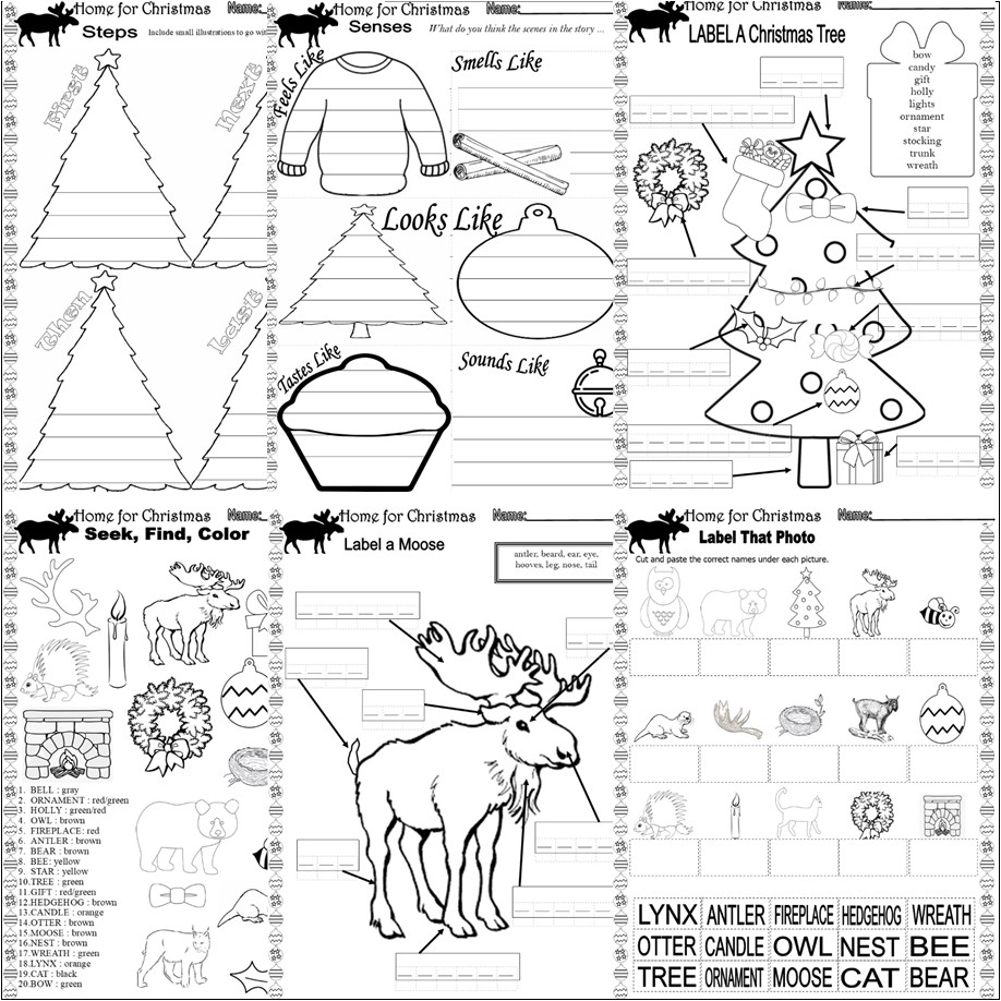 Home for Christmas Jan Brett Reading Comprehension Book Study Companion ...