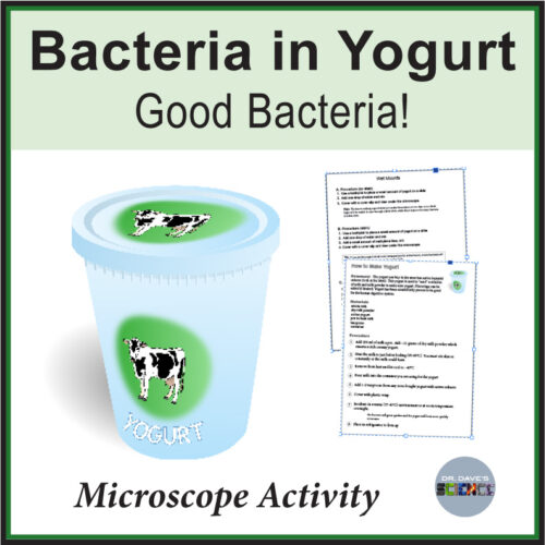 How to Make Yogurt Microscope Activity - Made By Teachers