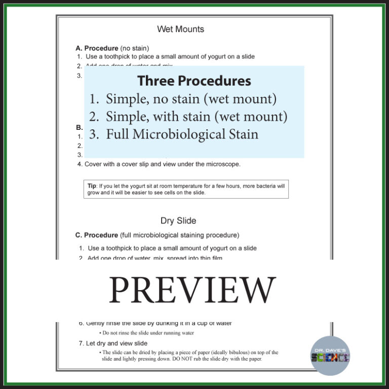 How to Make Yogurt Microscope Activity - Made By Teachers