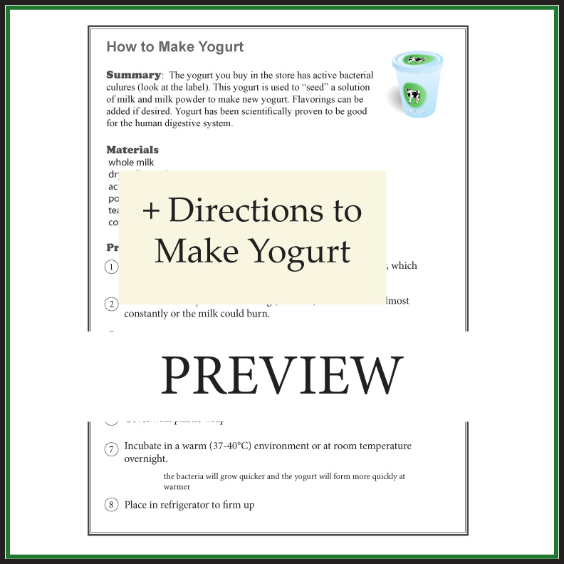How to Make Yogurt Microscope Activity - Made By Teachers