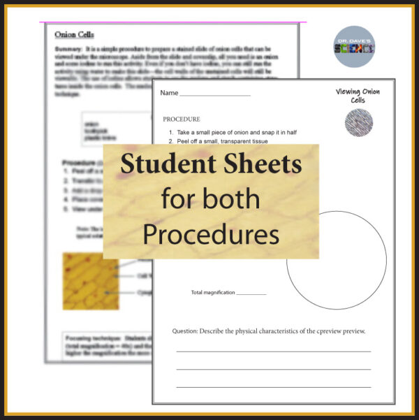 Plant and Animal Cells Onion and Cheek Slides Microscope Worksheet ...