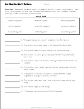 The Human Body Systems Activity iPad Craftivity Project - Made By Teachers