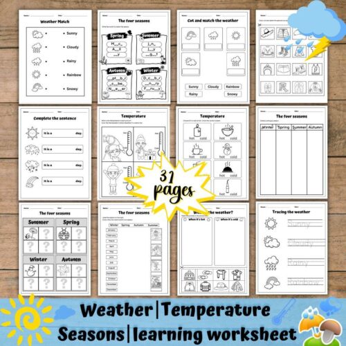 Weather and Climate Worksheets / Temperature / Seasons Activity NO Prep ...
