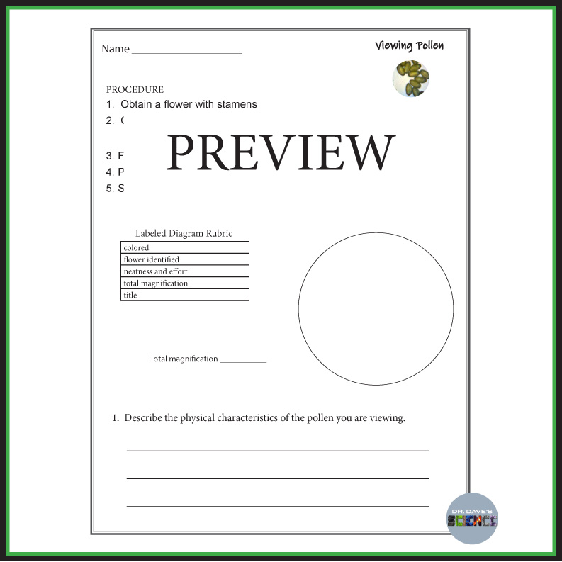 Microscope Activity Worksheet Viewing Plant Pollen | Made By Teachers