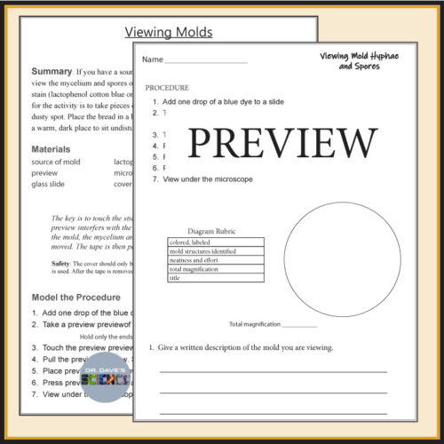 Microscope Lab Activity Worksheet Viewing Fungi Yeast and Mold Cells ...