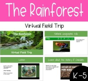 The Rainforest Virtual Field Trip (Google Slides) | Made By Teachers