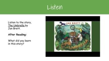 The Rainforest Virtual Field Trip (Google Slides) | Made By Teachers