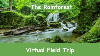 The Rainforest Virtual Field Trip (Google Slides) | Made By Teachers