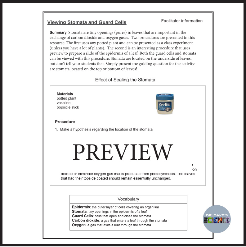 Microscope Slide Lab Activity Worksheet Viewing Stomata and Guard Cells ...