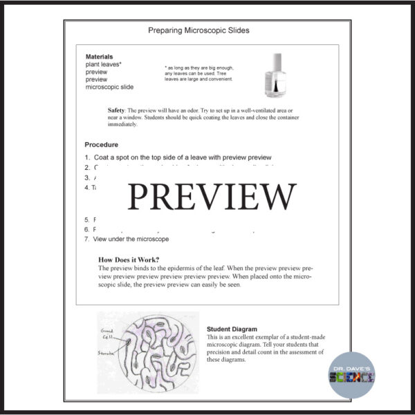 Microscope Slide Lab Activity Worksheet Viewing Stomata and Guard Cells ...