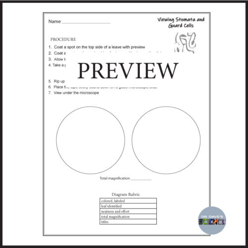 Microscope Slide Lab Activity Worksheet Viewing Stomata and Guard Cells ...