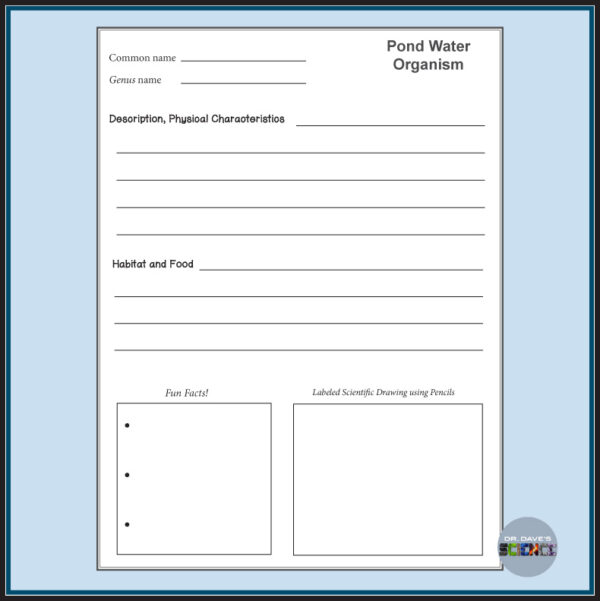 Microscope Slide Lab Activity Worksheet Viewing Pond Water and ...