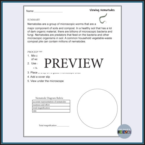 Microscope Slide Lab Activity Worksheet Viewing Pond Water and ...