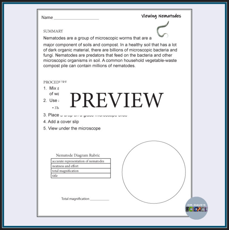 Microscope Slide Lab Activity Worksheet Viewing Pond Water and ...