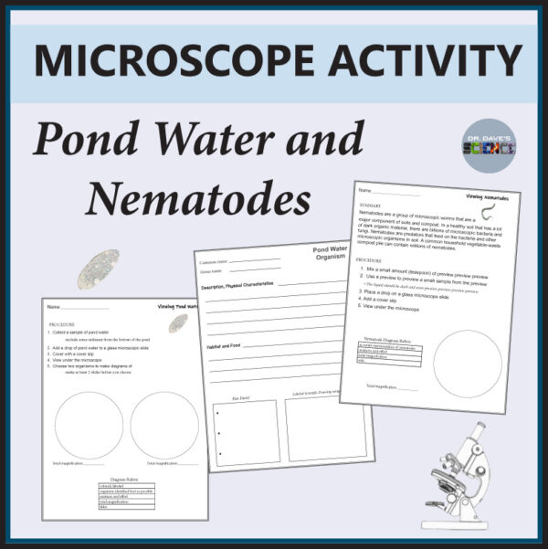 Microscope Slide Lab Activity Worksheet Viewing Pond Water and ...