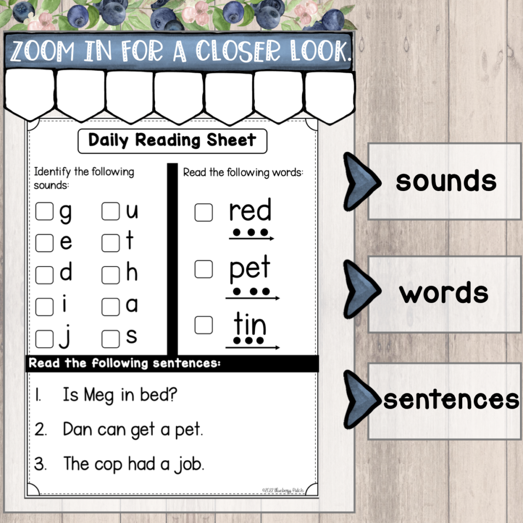 Science of Reading CVC Daily Readers - Made By Teachers