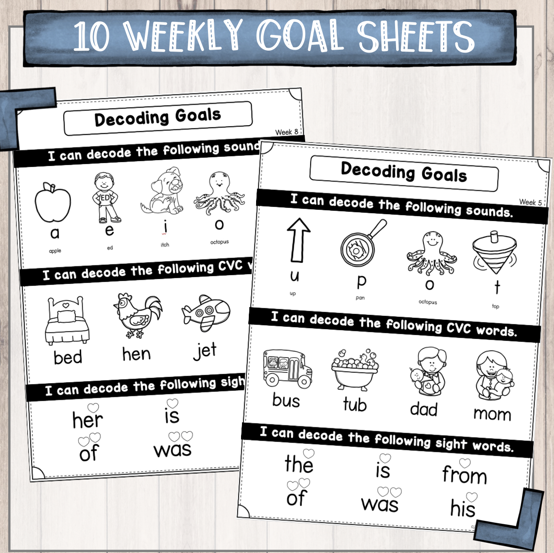 Science of Reading CVC Daily Readers | Made By Teachers