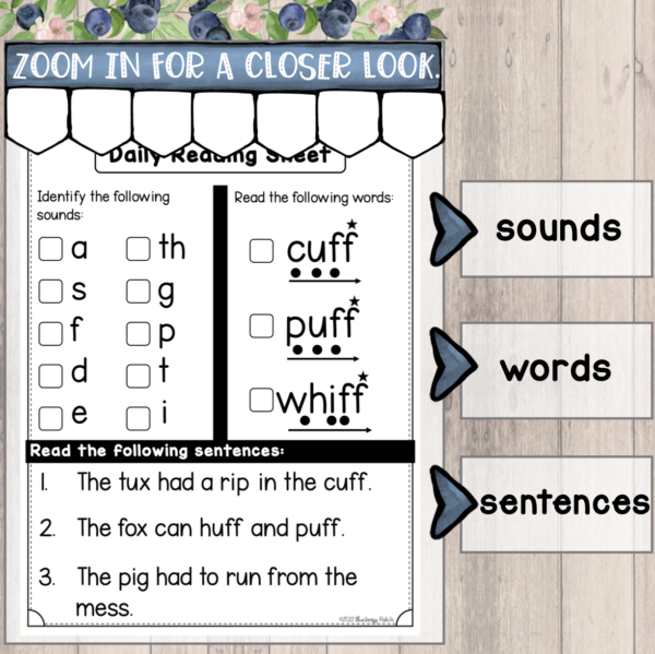 Science of Reading Daily Readers with Bonus Letters | Made By Teachers