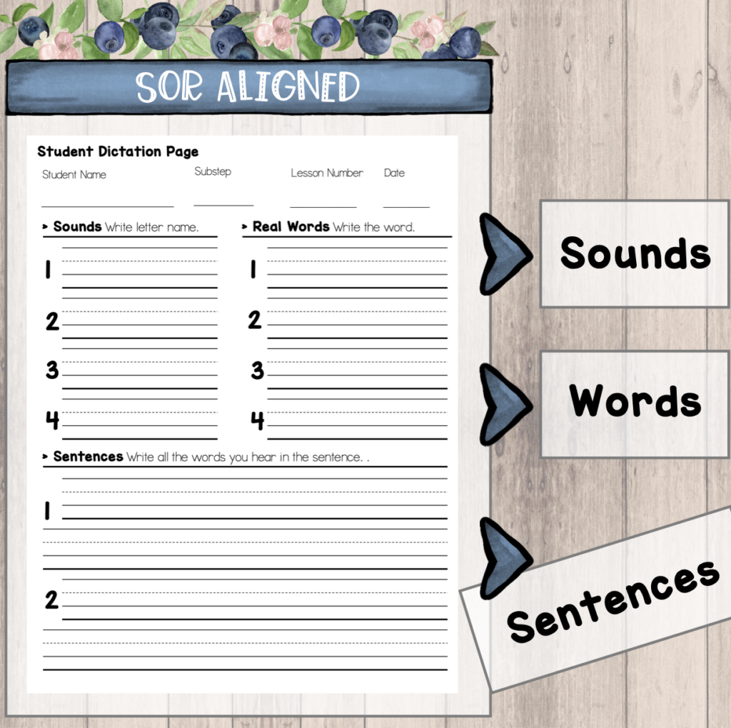 Dictation Sheets for Science of Reading | Made By Teachers