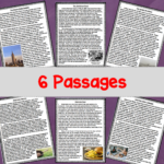 RI.6.5: Analyzing Text Structure | Made By Teachers