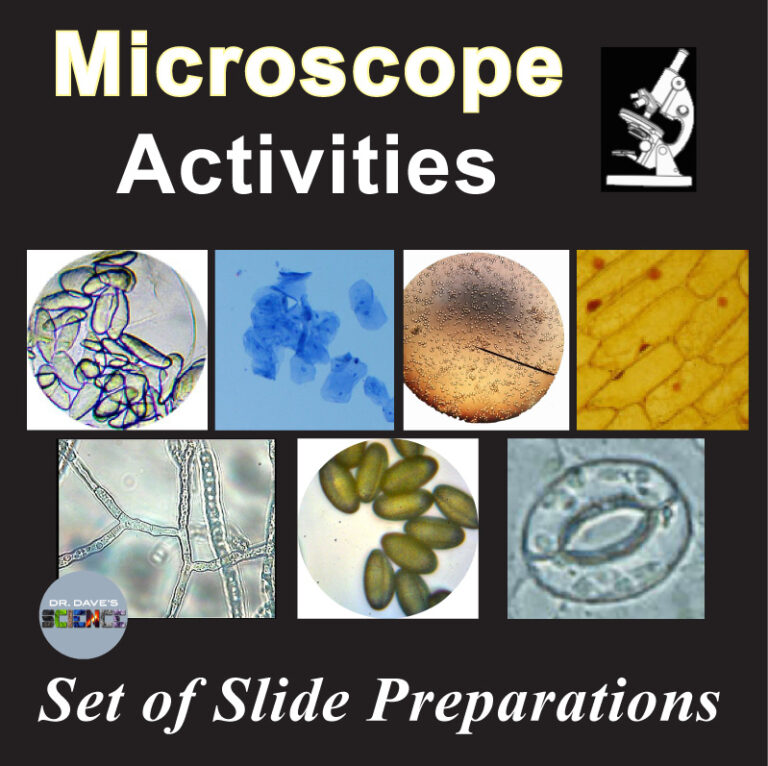 Microscope Slide Lab Activity Bundle | Made By Teachers