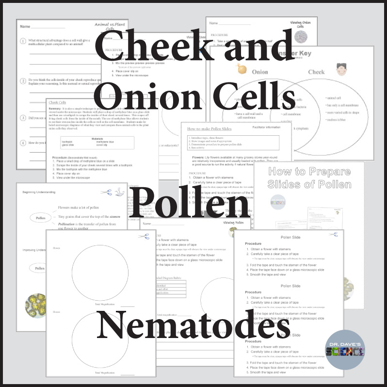 Microscope Slide Lab Activity Bundle - Made By Teachers