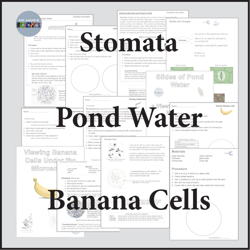 Microscope Slide Lab Activity Bundle - Made By Teachers