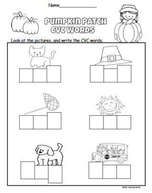 Free November CVC Worksheet - Made By Teachers