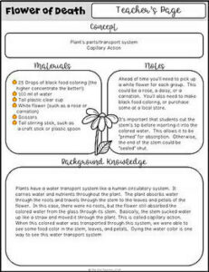 Halloween Science Activities - Made By Teachers