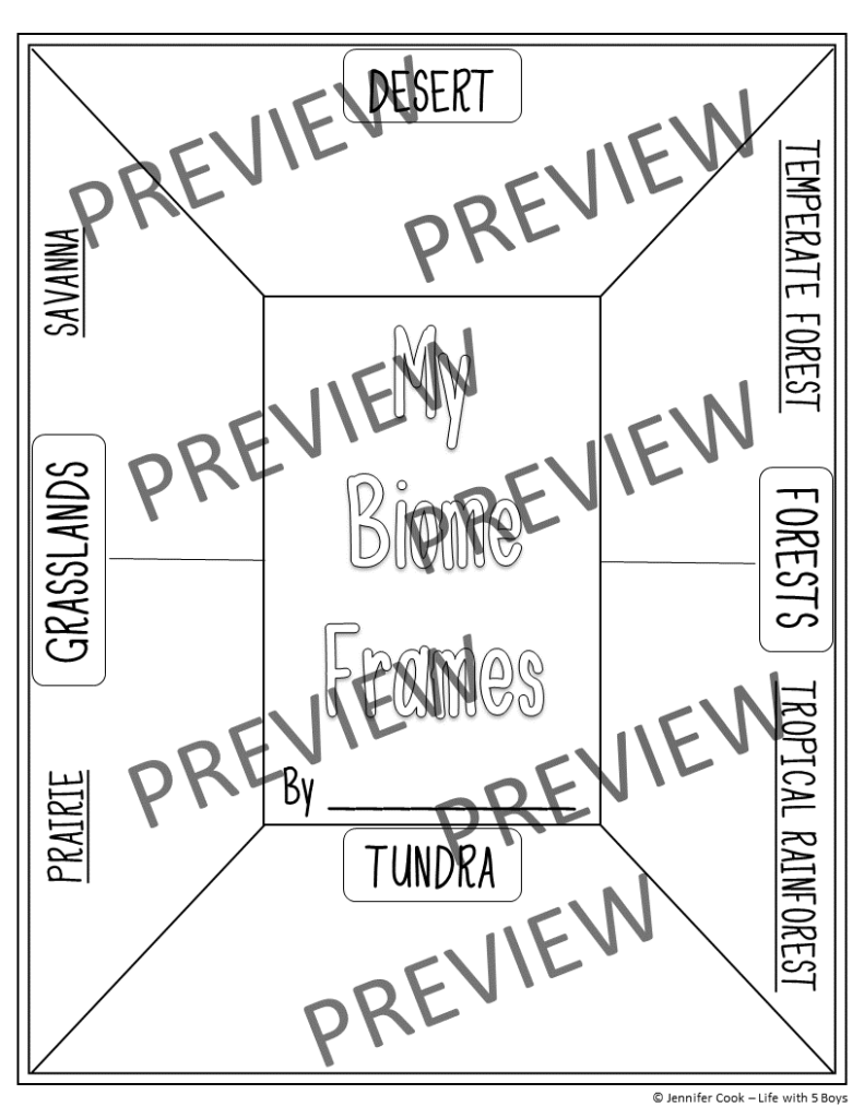 Biome Activities | Made By Teachers