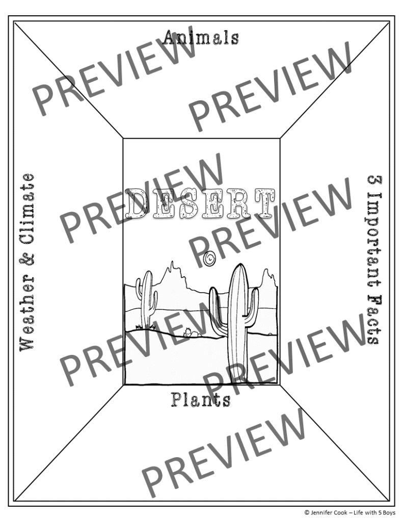 Biome Activities | Made By Teachers