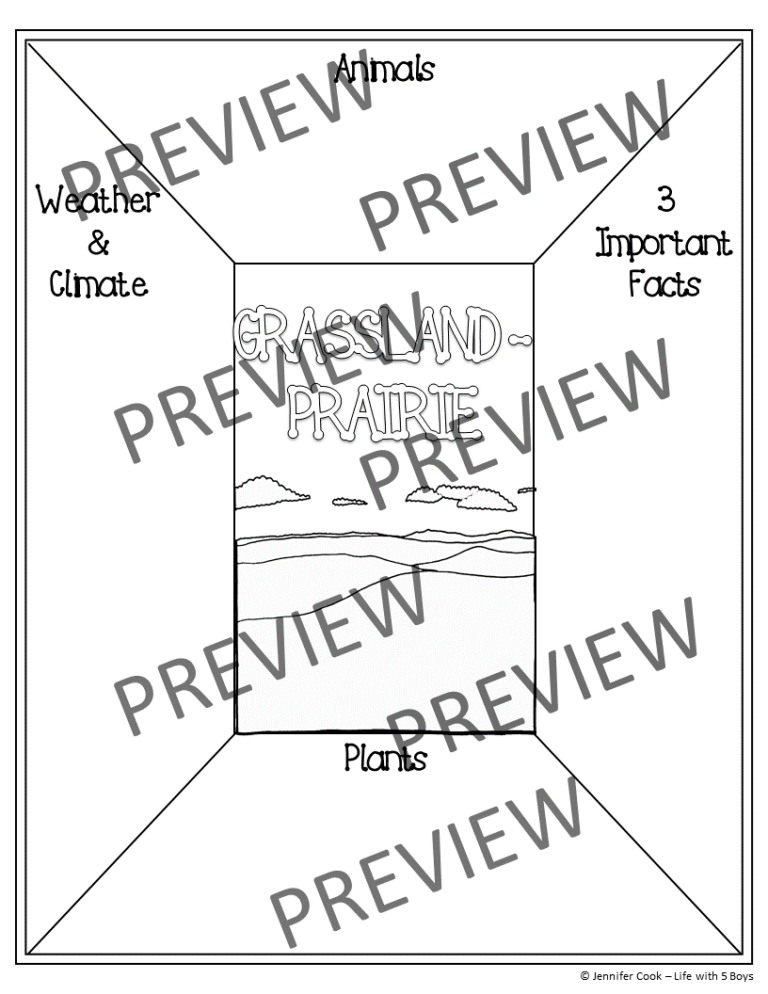 Biome Activities | Made By Teachers