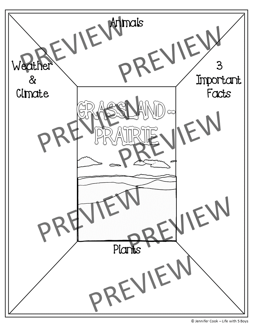 Biome Activities - Made By Teachers
