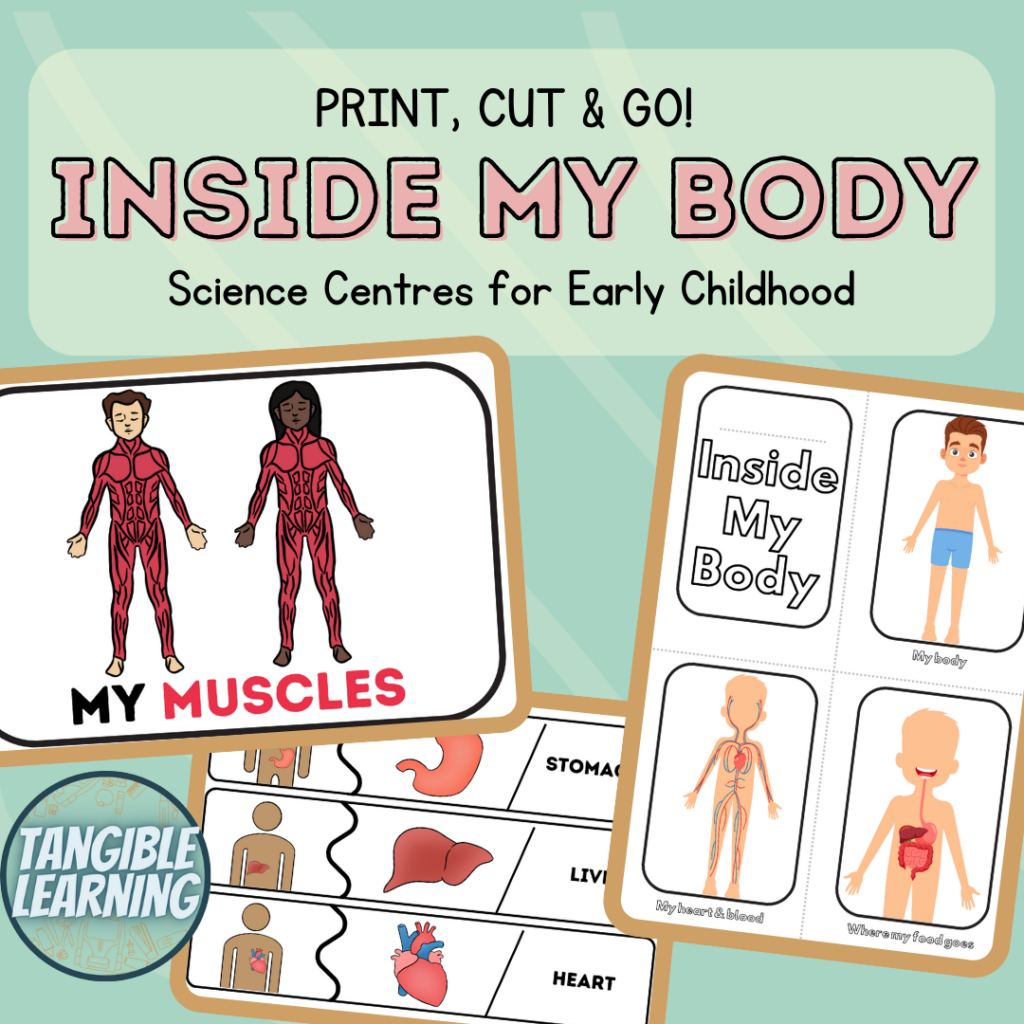 Early Years Inside My Body Low Preparation Science Centres | Made By ...