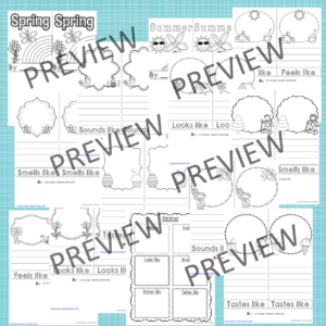 4 Seasons and 5 Senses Flipbook | Made By Teachers