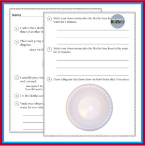 Skittle Science Hands on Activity | Made By Teachers