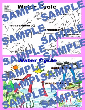 Close Reading: It' Raining! by Gail Gibbons | Made By Teachers